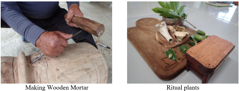 Restoration of Indigenous Plants and Construction of Sustainable Value ...