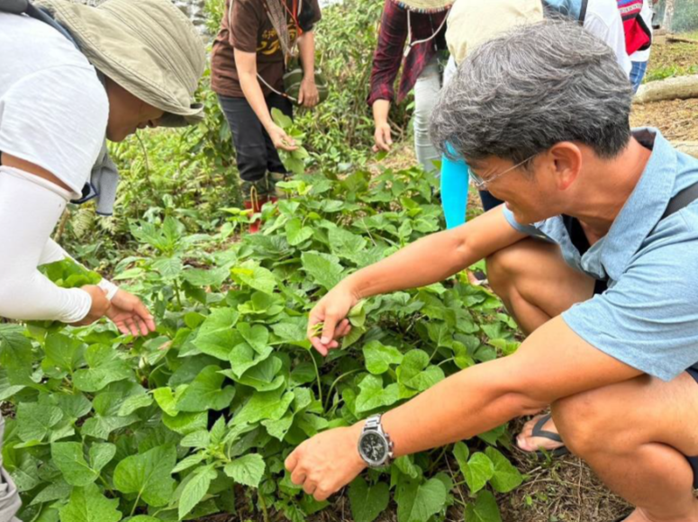Restoration of Indigenous Plants and Construction of Sustainable Value ...
