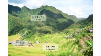 Re(Connecting) with the Ifugao Rice Terraces as a socio-ecological ...