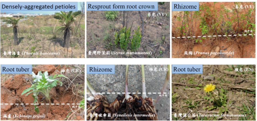 The interaction between human beings and grassland ecosystems ...