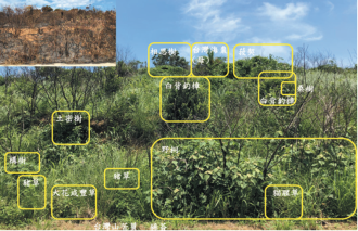 The interaction between human beings and grassland ecosystems ...